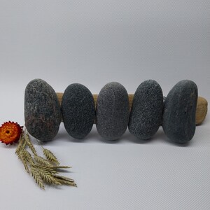 Long Shaped Sea Rock Wall Hooks Decorative.set of 5 Natural Beach Stone ...