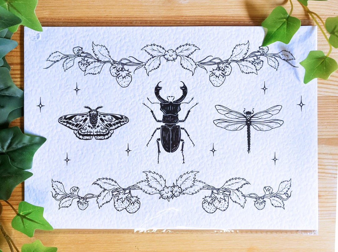 Bug & Beetles Art Print - A4 Spring Insect Art Print, Cottagecore Art ...