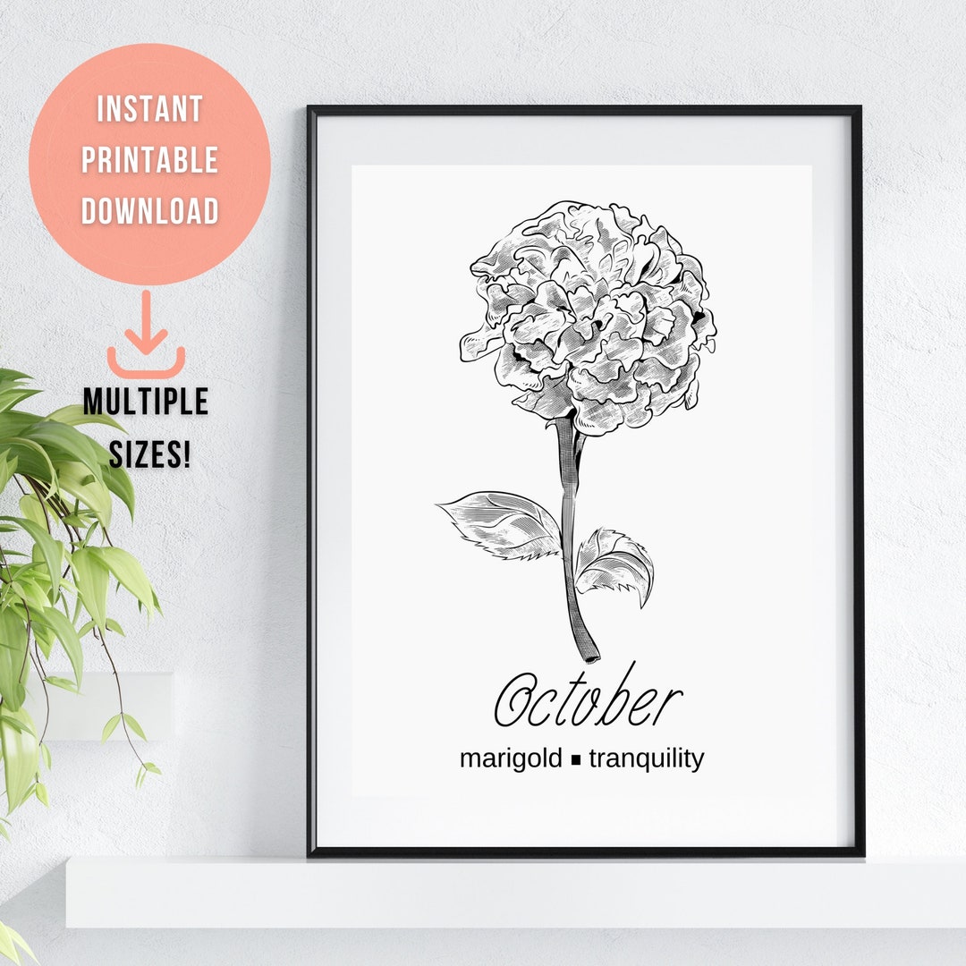 Birth Flower Clipart Print Flower Birth Month Flower Pot Printable Wall ...