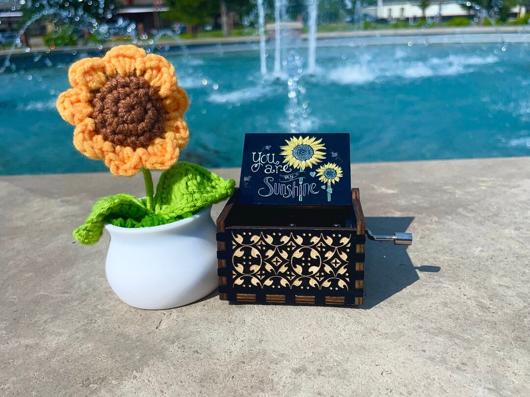 You Are My Sunshine Music Box, Manual Crank Wooden Music Box, Music ...
