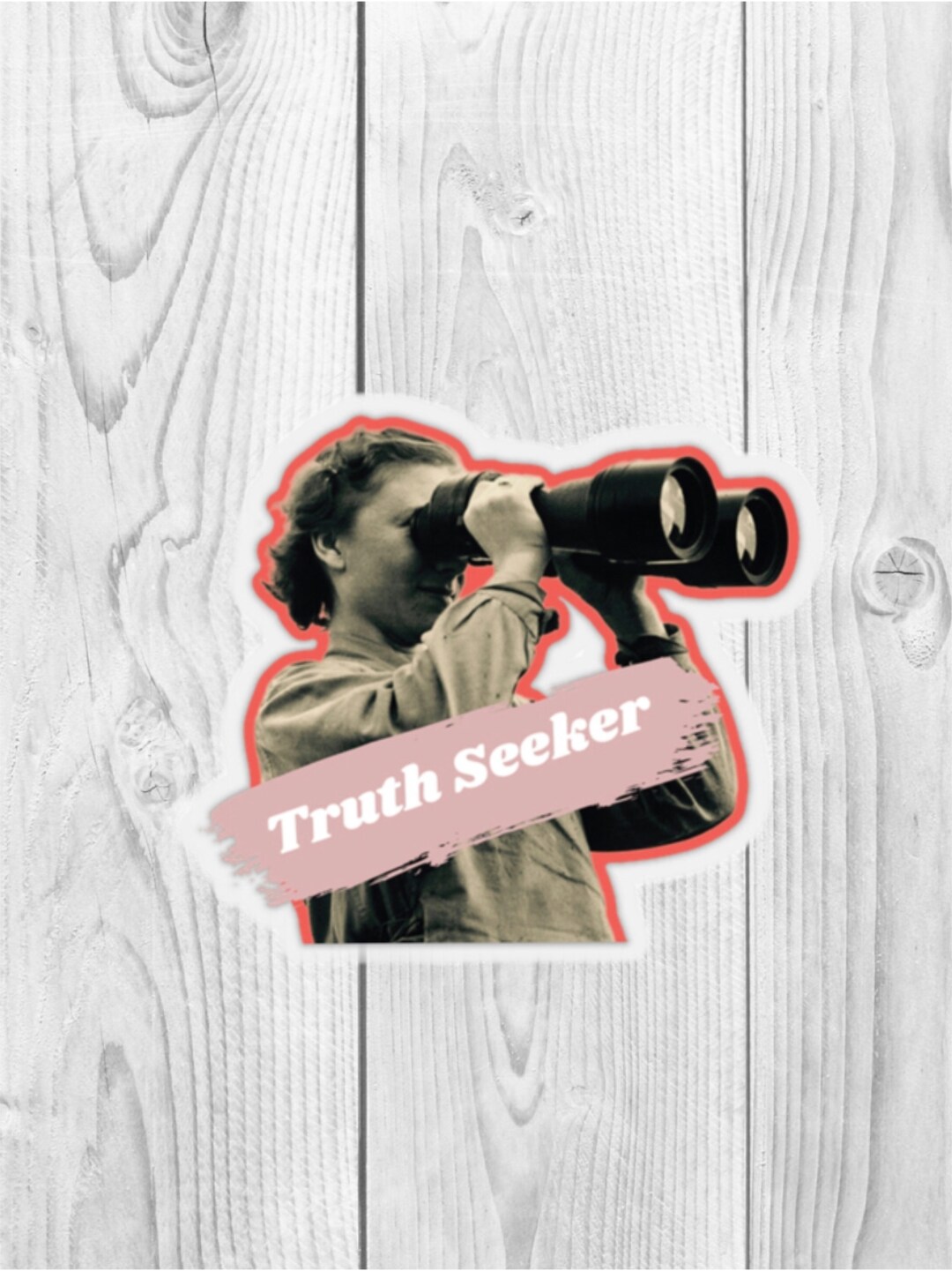 Vintage Lady Truth Seeker STICKER, Truth Decals, Truth Stickers ...