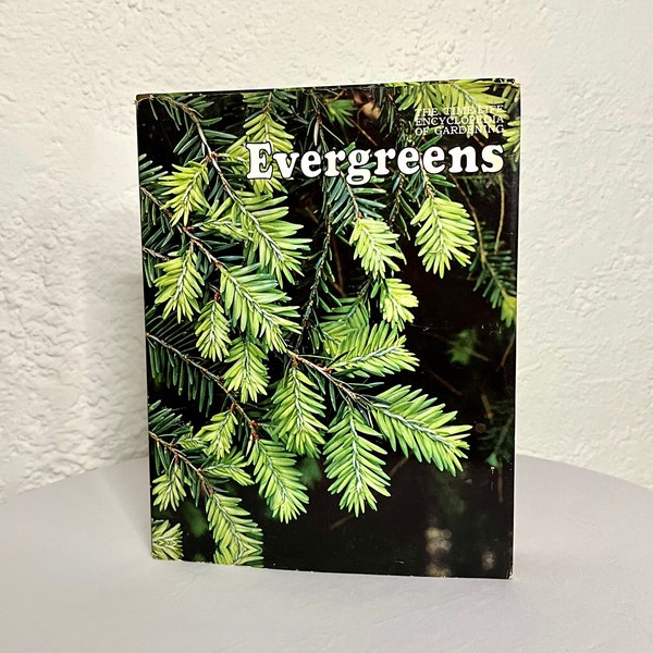 Evergreen Shrubs - Etsy