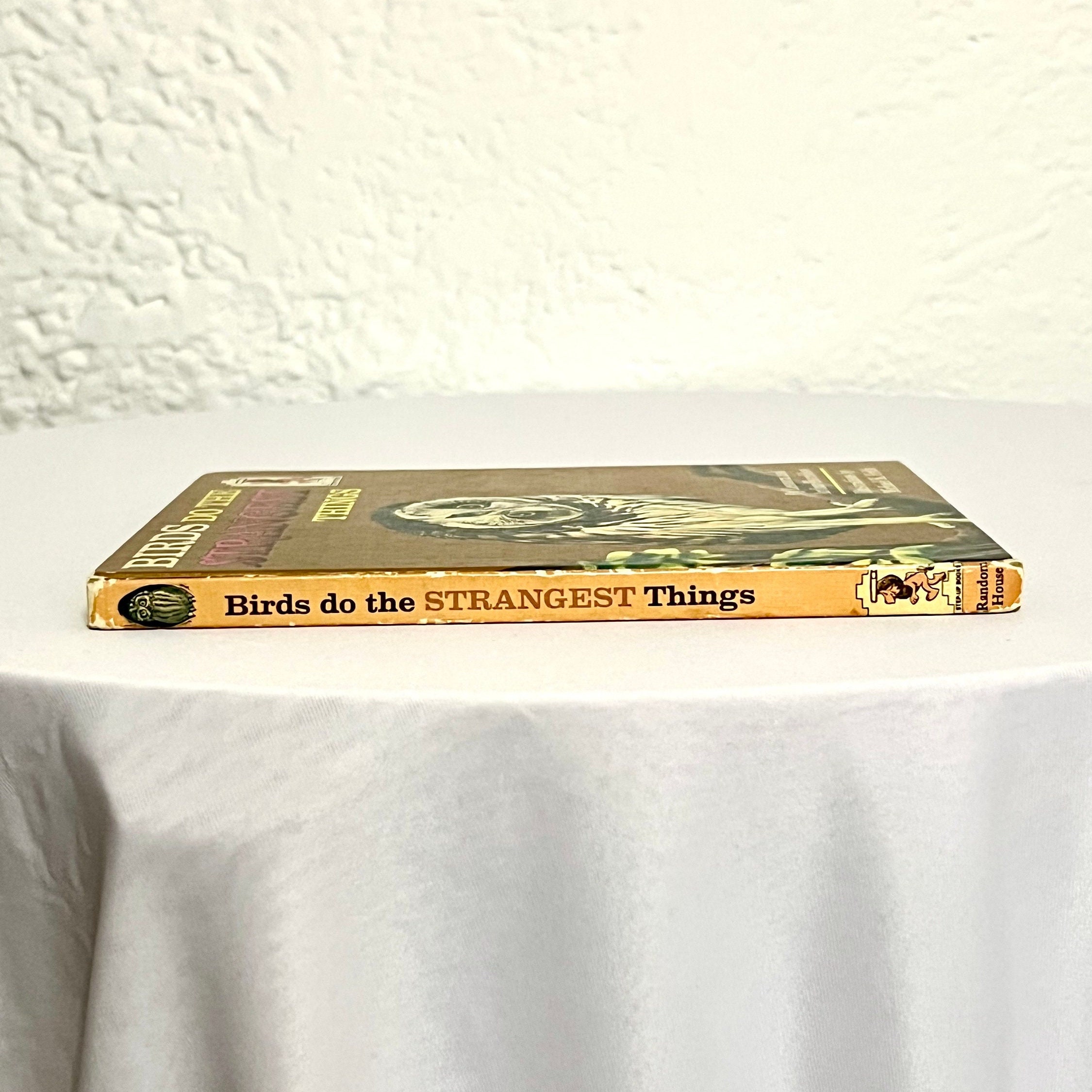 Vintage Children's Book Birds Do the Strangest Things by Step up Books ...