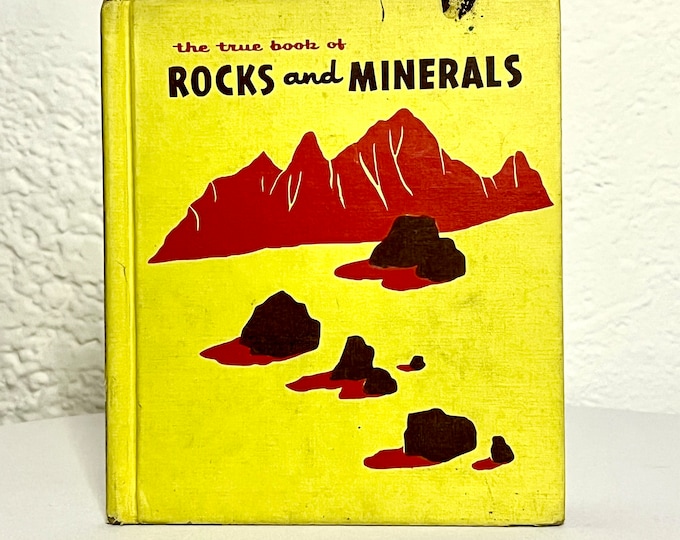 Rocks and Minerals Children Book Geology Book Nature Book Rock ...