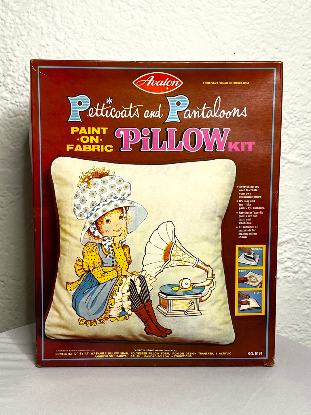 DIY Pillow Cover Painting Kit 12x12 by Avalon Industries Inc Petticoats ...