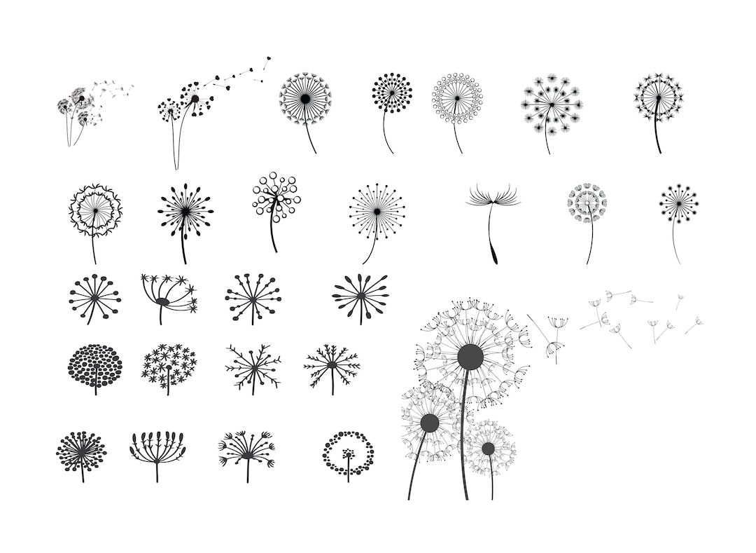 DANDELION SVG, DANDELION Clipart, Dandelion Svg Files for Cricut ...