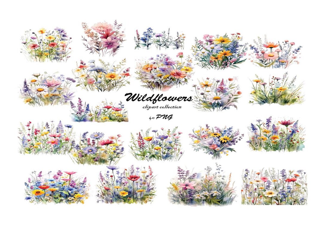Watercolor Wildflower Clipart, Watercolor Spring Flowers PNG, Floral ...