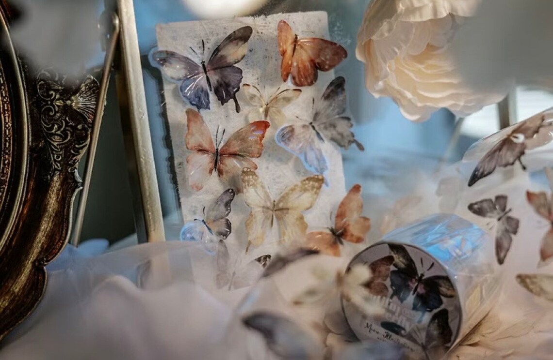 Meow Illustration Beautiful Butterfly PET With Iridescent, Sample 90cm ...