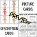 Human Body Systems + Major Organs Posters + Picture Cards + Description ...