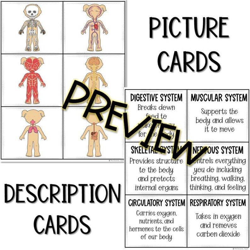 Human Body Systems + Major Organs Posters + Picture Cards + Description ...