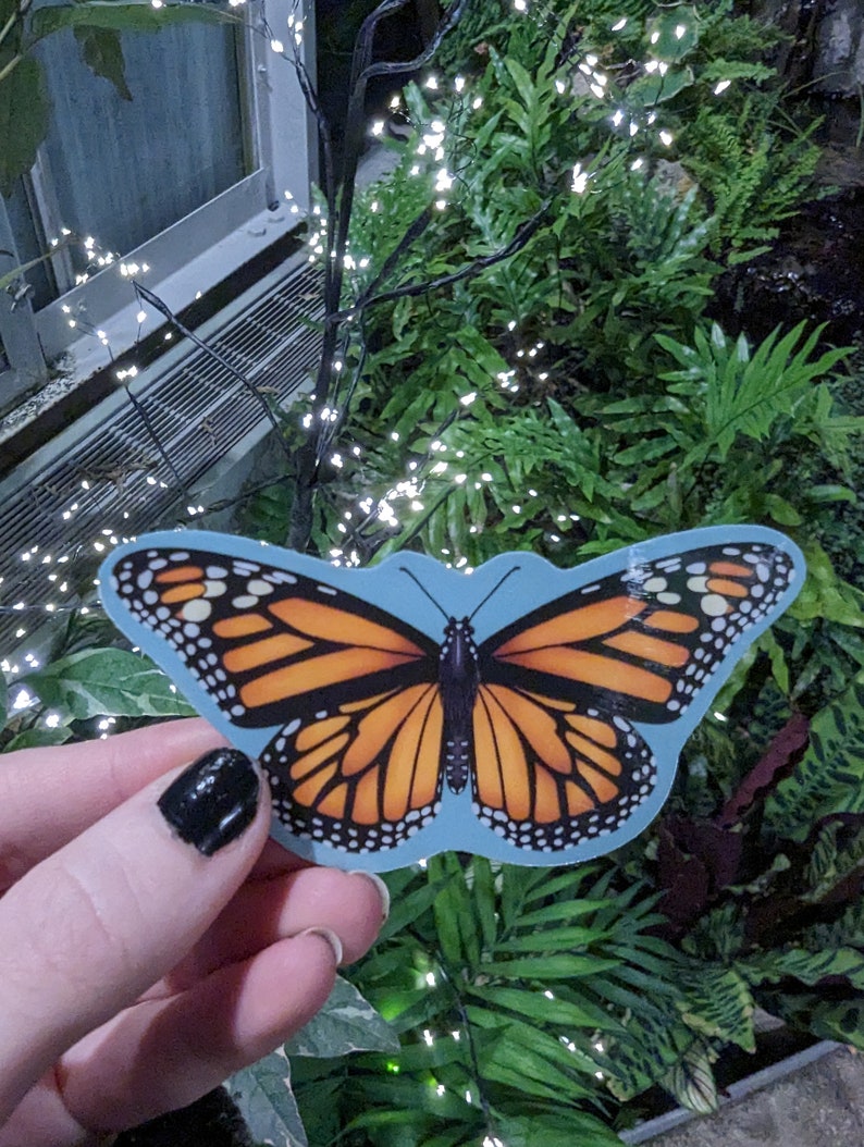 Monarch Butterfly Sticker - Etsy