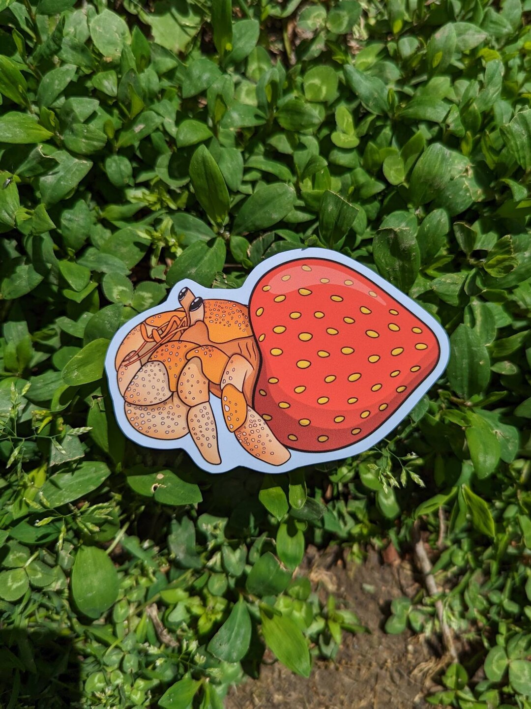 Hermit Crab Strawberry Shell Sticker - Etsy