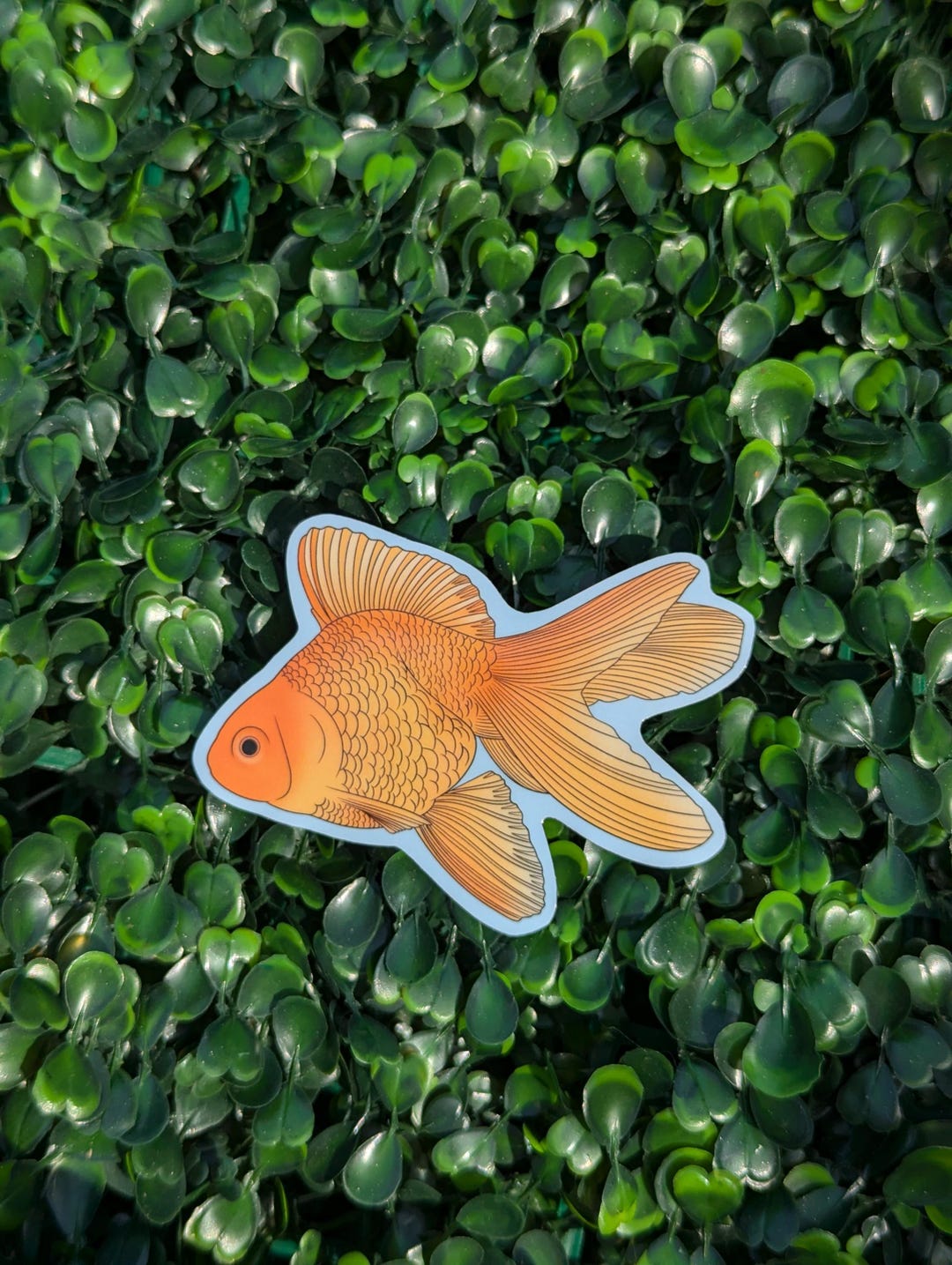 Gold Fish/ Fantail Sticker - Etsy