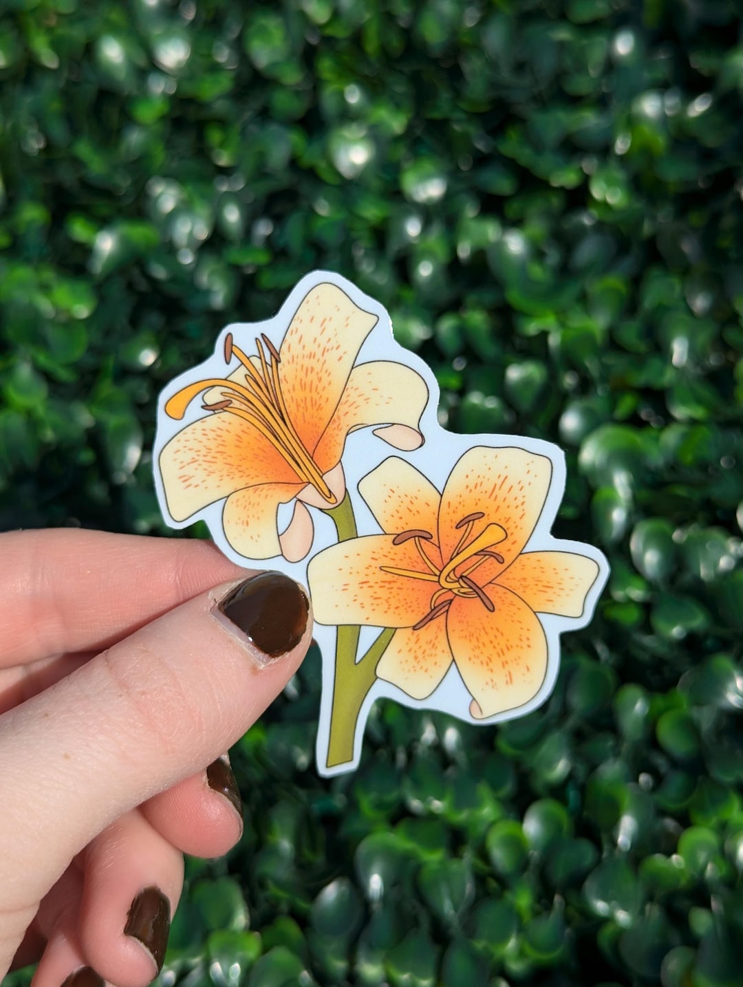 Tiger Lily Sticker - Etsy