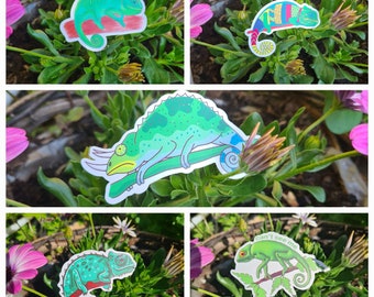 Chameleon Sticker Weatherproof Vinyl Sticker Cute Animals - Etsy