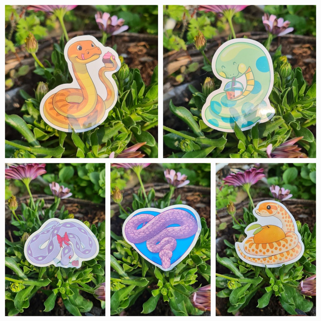 Cute Snake Sticker Decals - Etsy
