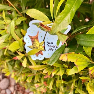 You Found Me! | Korok | Matte Vinyl Sticker - Etsy