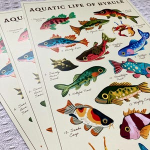 Aquatic Life of Hyrule | Zelda Fish Poster | 11 X 17 Art Print - Etsy
