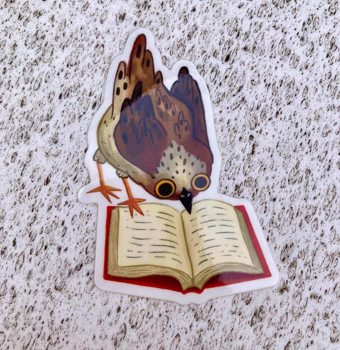 Avid Reader | Bird Reading a Book | Clear Vinyl Sticker - Etsy