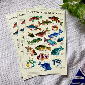Aquatic Life of Hyrule | 11 X 17 Art Print - Etsy