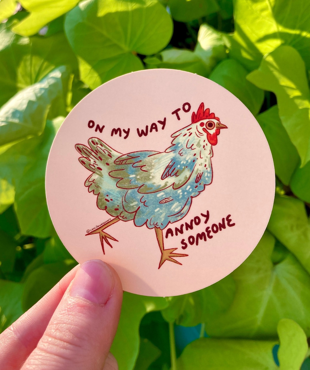 Annoying Chicken, Matte Vinyl Sticker - Etsy