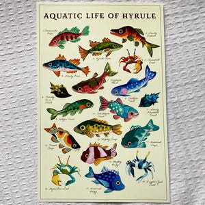 Aquatic Life of Hyrule | Zelda Fish Poster | 11 X 17 Art Print - Etsy