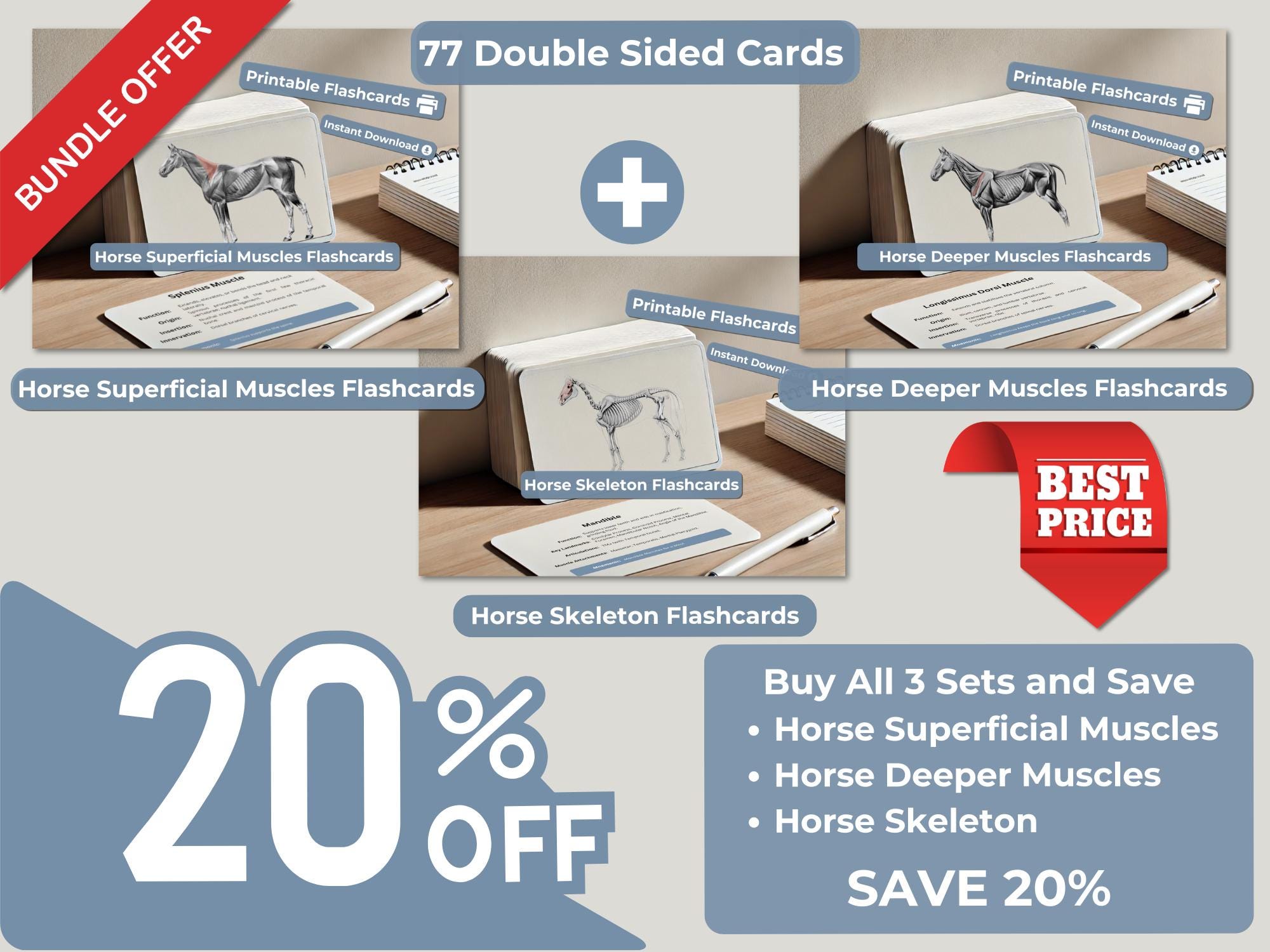 Complete Equine Anatomy Flashcards - Superficial Muscles, Deeper ...