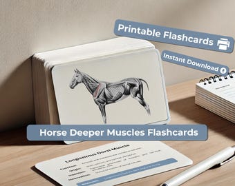 Superficial Horse Muscle Flashcards - Equine Anatomy Study Guide for ...