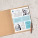 Newsletter Email Template Canva, Blue Editable Business Monthly ...