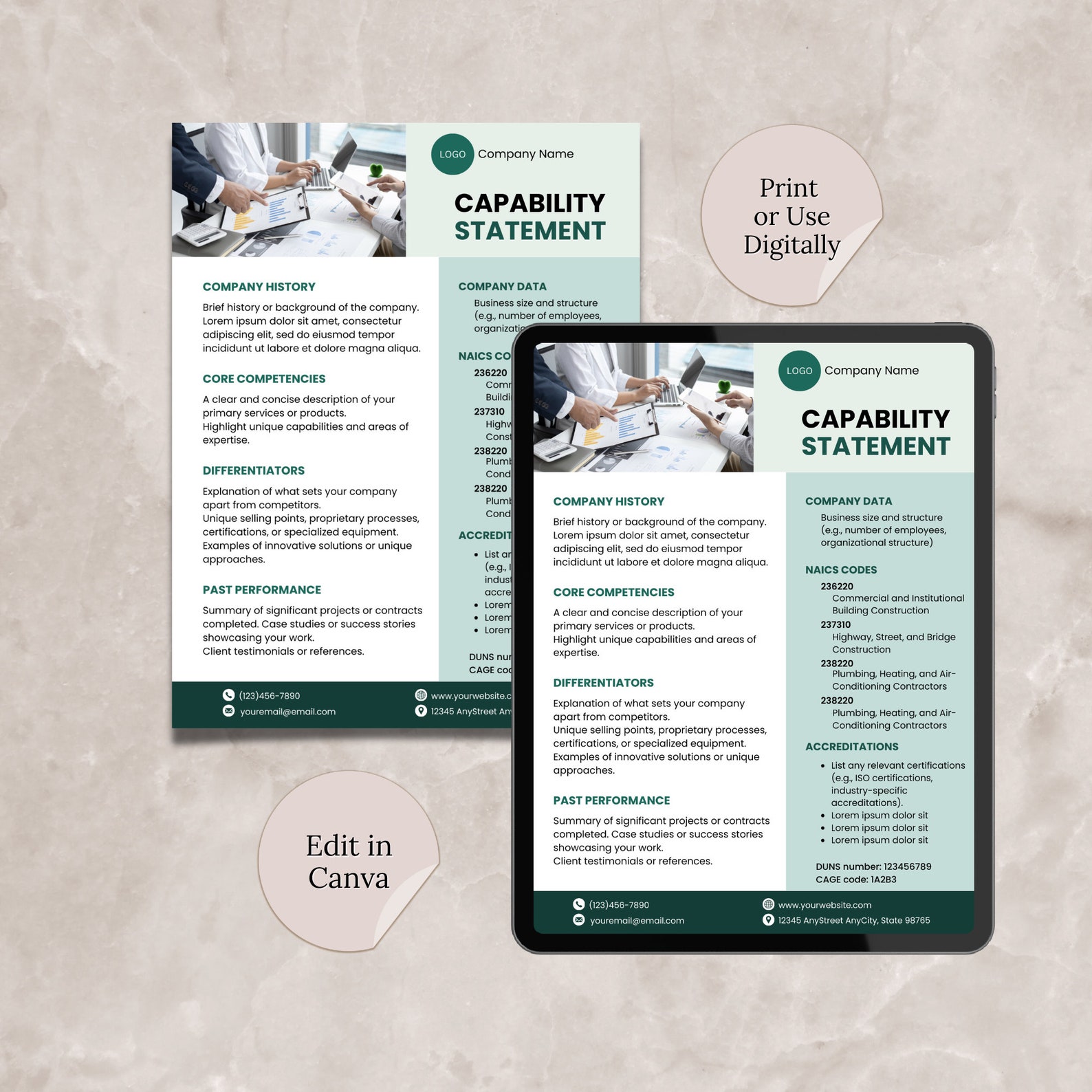 Capability Statement Canva Template Editable Capability Statement ...