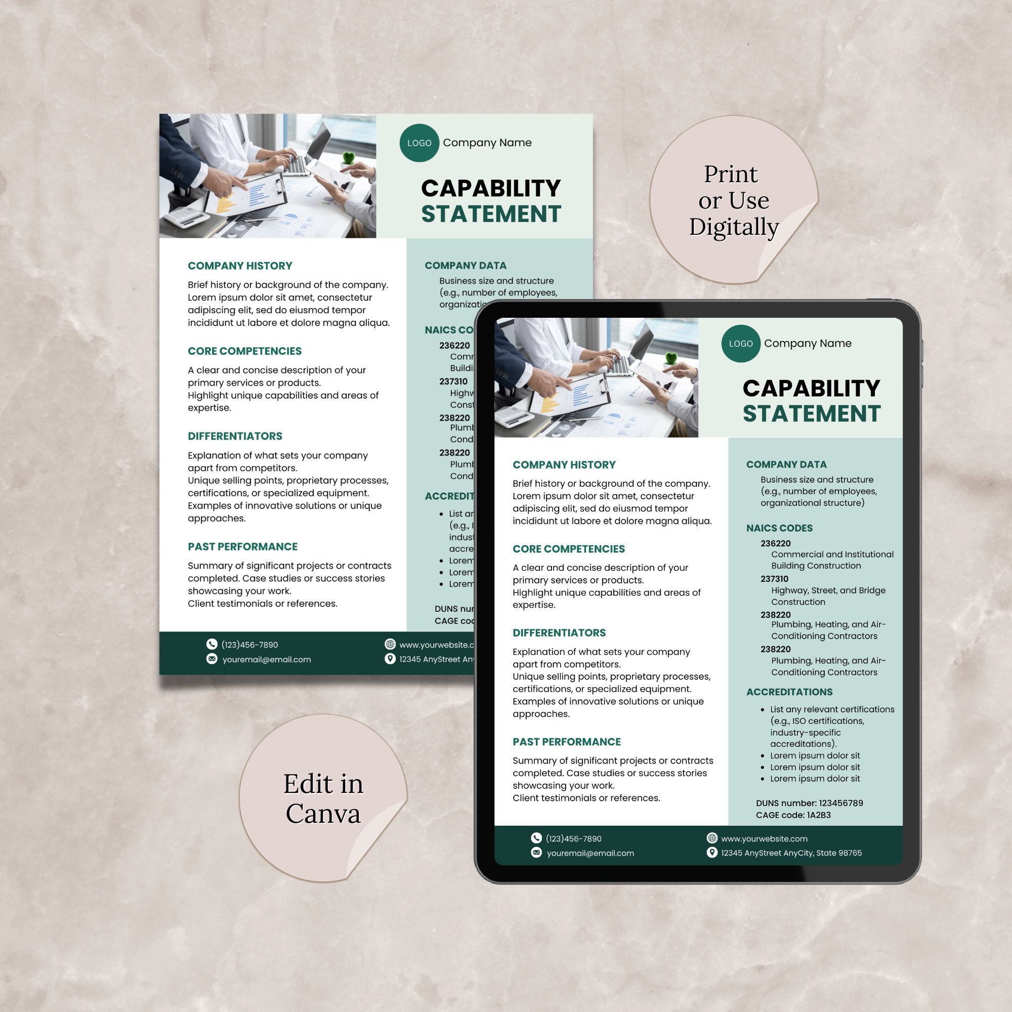 Capability Statement Canva Template Editable Capability Statement ...