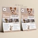 Pet Grooming Flyer Canva Template, Pet Groomer Business Editable Flyer ...