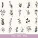 Floral Botanicals & Sprigs SVG Bundle Floral SVG Leafy SVG for Cricut ...