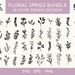 Floral Botanicals & Sprigs SVG Bundle Floral SVG Leafy SVG for Cricut ...