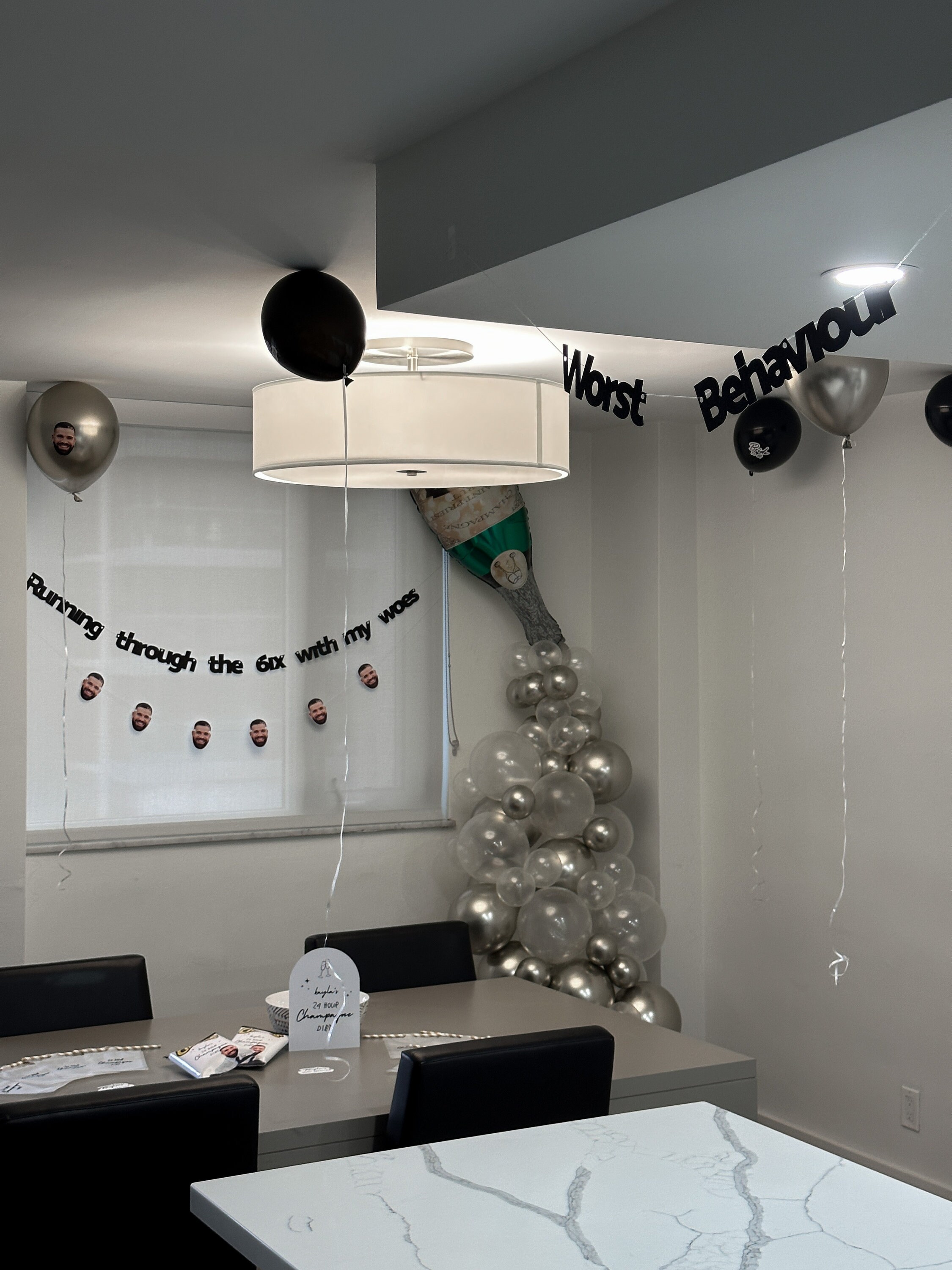 Drake Bachelorette Party Banner Drake Birthday Party Banner Drake Party ...