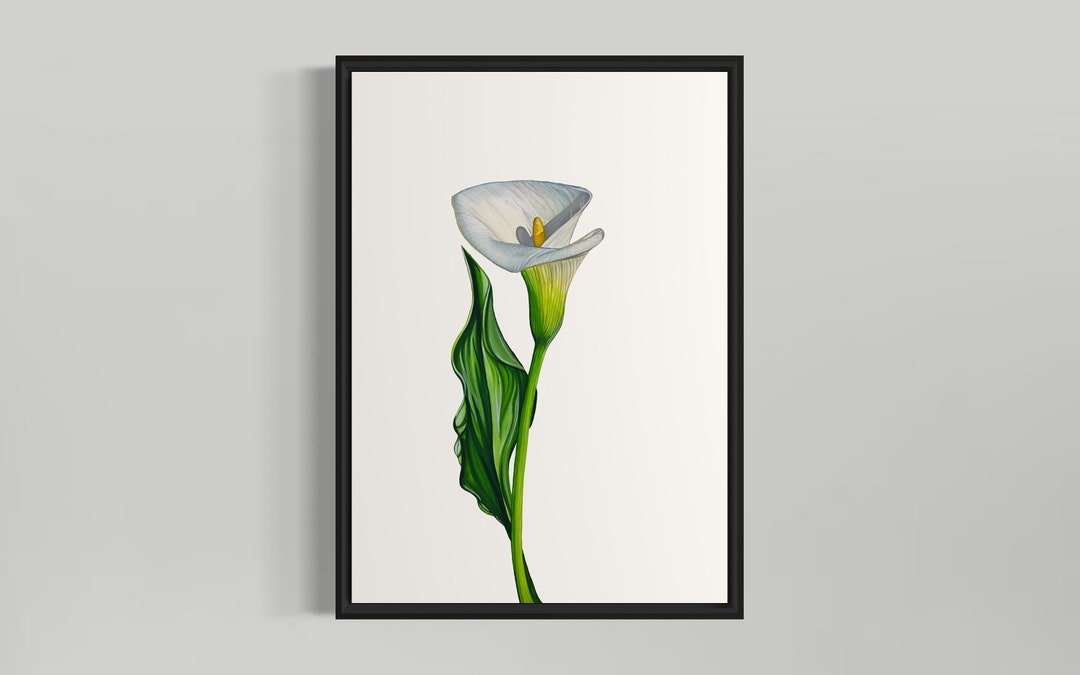 Calla Lily Print Watercolour Floral Art Print Botanical Wall Art White ...