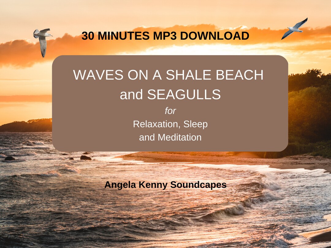 Waves on a Shale Beach and Seagulls. Thirty-minutes MP3 Download. - Etsy