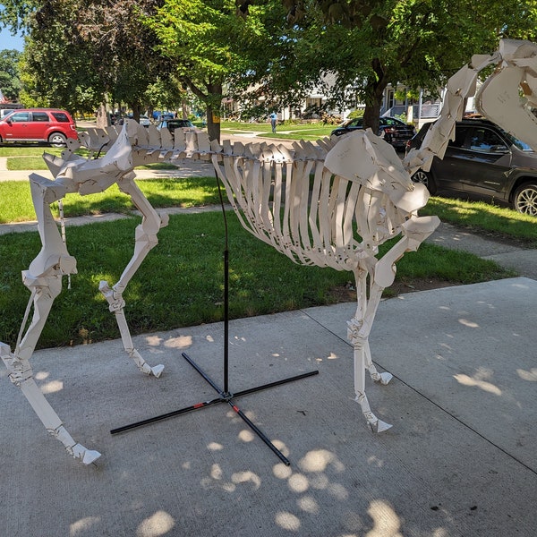 Halloween Life Size Skeletons - Etsy