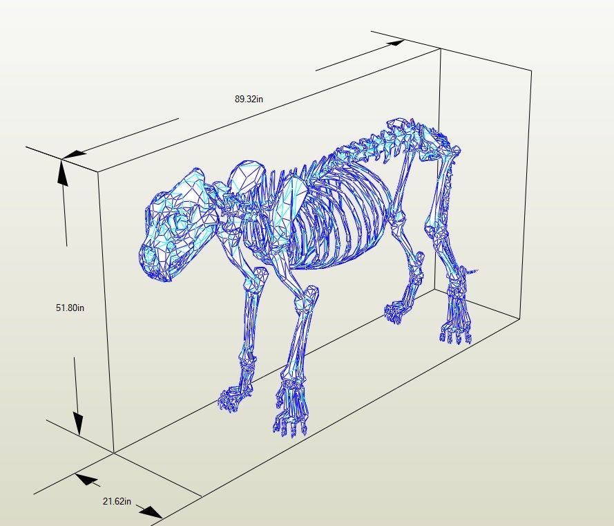 Pepakura Lion Skeleton, Cat, Feline, Papercraft, Templates, PDO, DIY ...