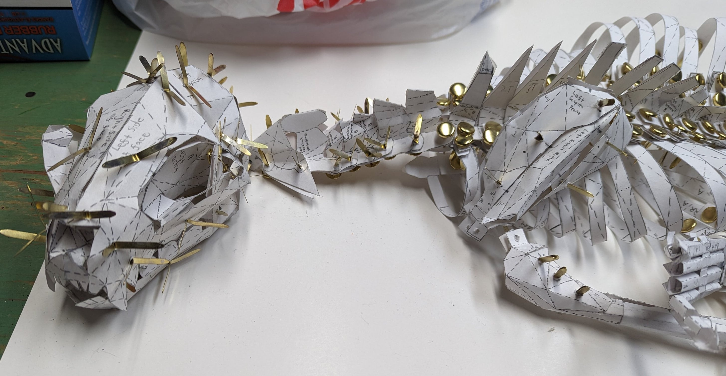 Life Size Papercraft Cat Skeleton PDF Construction Kit, Cosplay ...