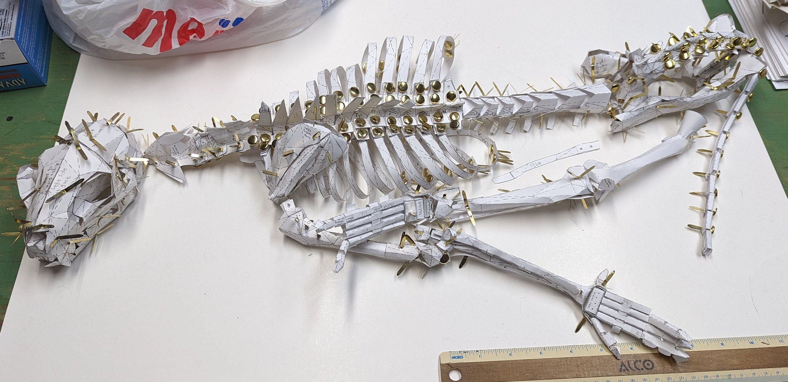 Life Size Papercraft Cat Skeleton PDF Construction Kit, Cosplay ...