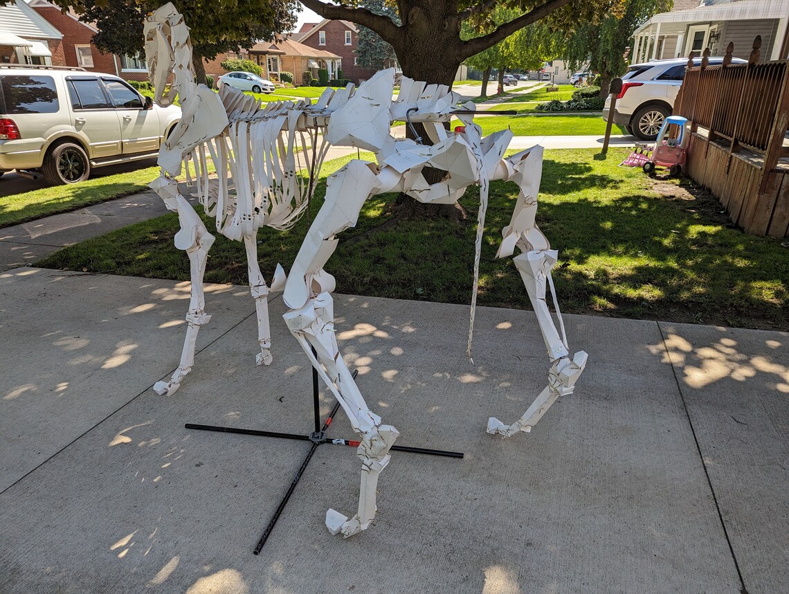 Life Size Animal Horse Skeleton Construction Kit , Cosplay Templates ...