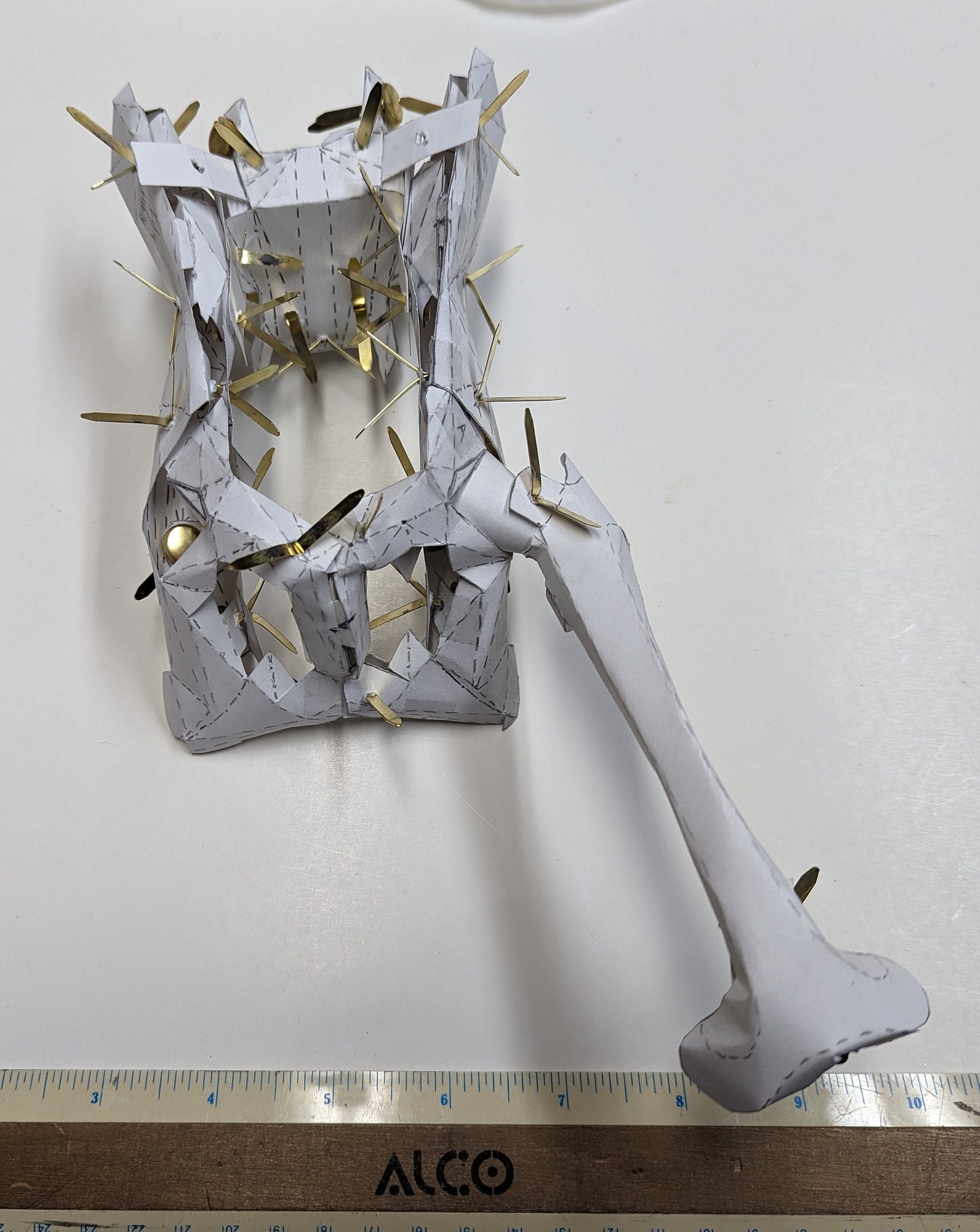 Life Size Papercraft Cat Skeleton PDF Construction Kit, Cosplay ...