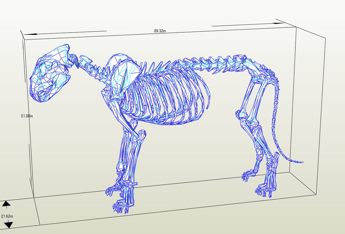 Pepakura Lion Skeleton, Cat, Feline, Papercraft, Templates, PDO, DIY ...