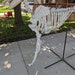 Life Size Animal Horse Skeleton PDF Construction Kit , Cosplay ...