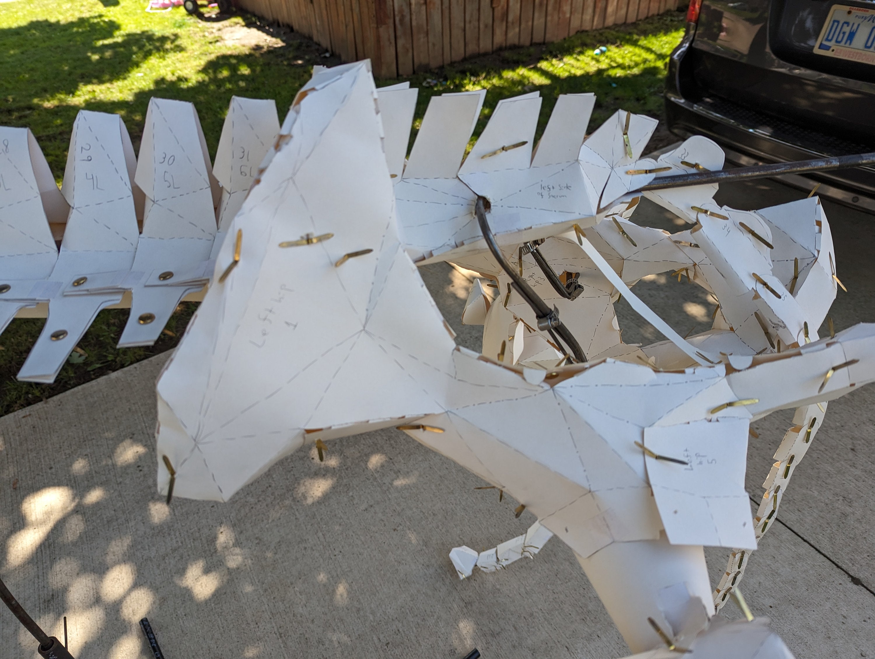 Life Size Animal Horse Skeleton PDF Construction Kit , Cosplay ...