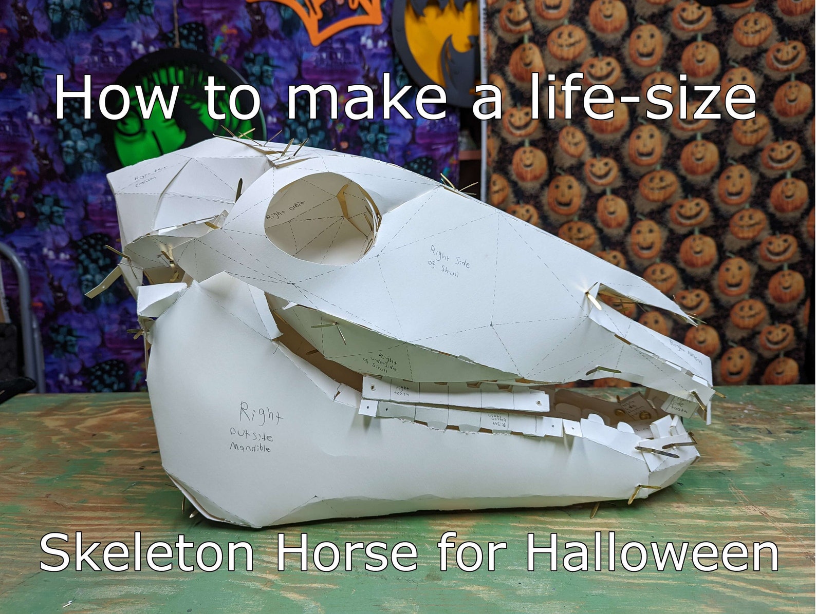 Life Size Animal Horse Skeleton Construction Kit Cosplay - Etsy