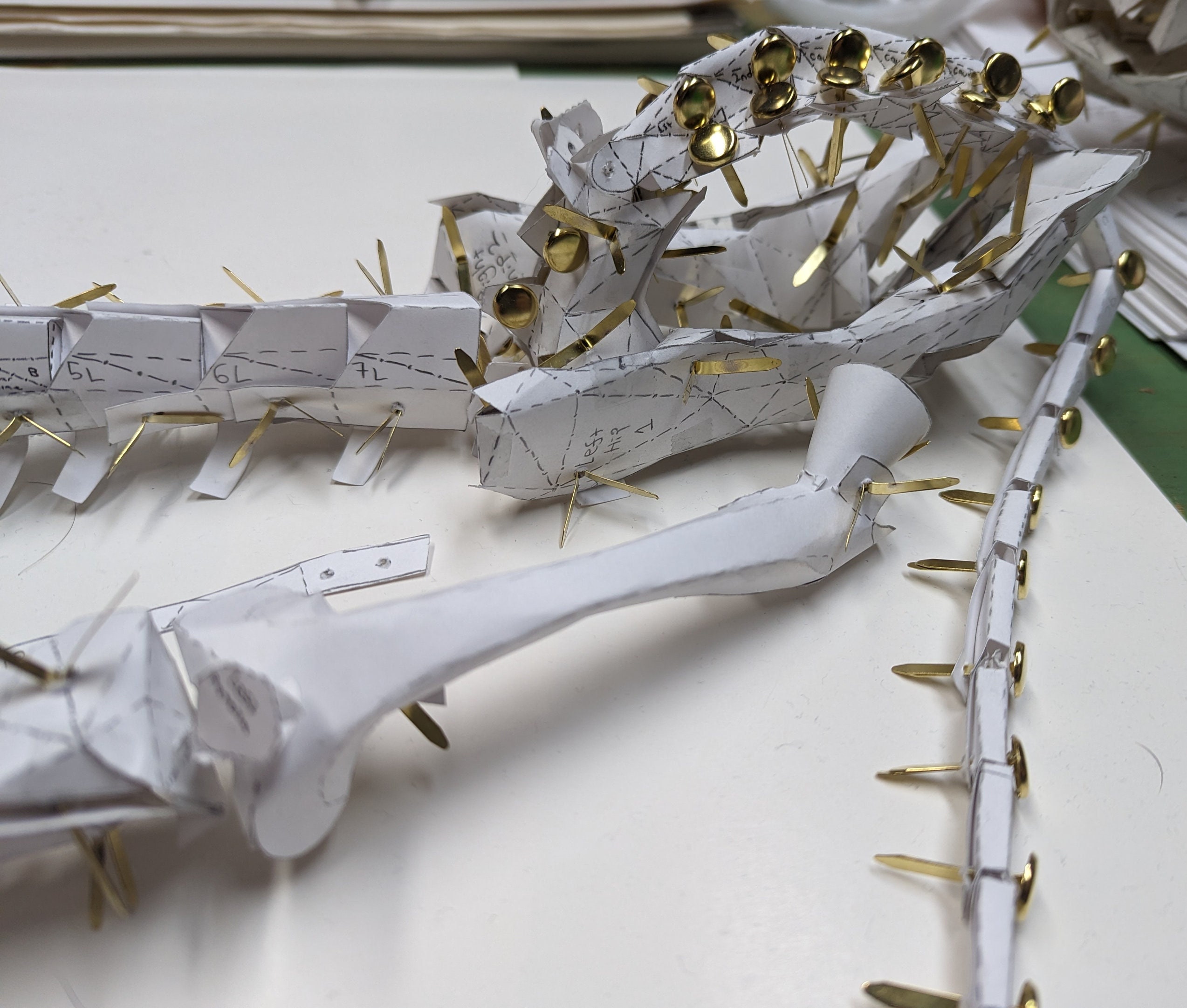 Life Size Papercraft Cat Skeleton PDF Construction Kit, Cosplay ...