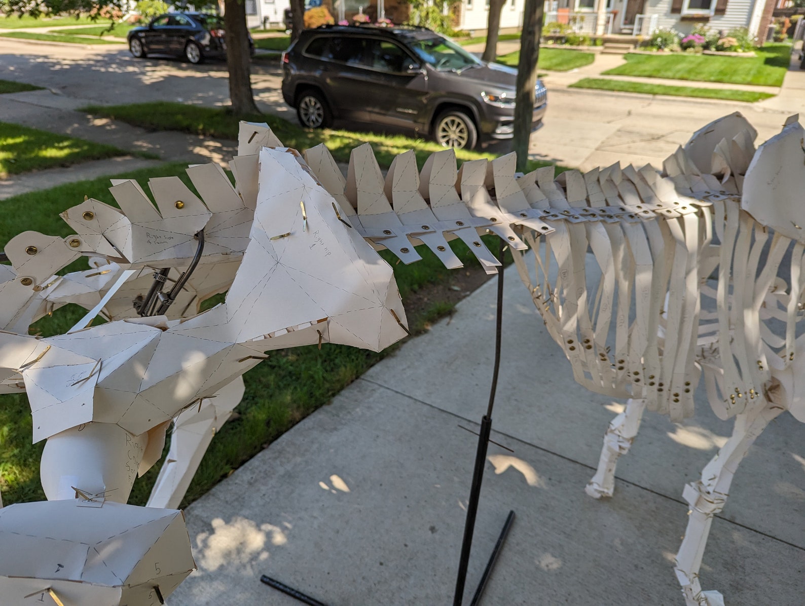 Life Size Animal Horse Skeleton Construction Kit , Cosplay Templates ...