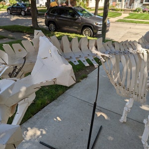 Life Size Animal Horse Skeleton PDF Construction Kit , Cosplay ...